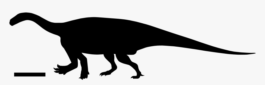 Antetonitrus Silhouette - Lesothosaurus, HD Png Download , Transparent ...