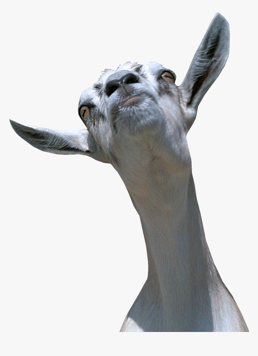 Goat Head No Background , Png Download - Goat Head Goat Transparent ...