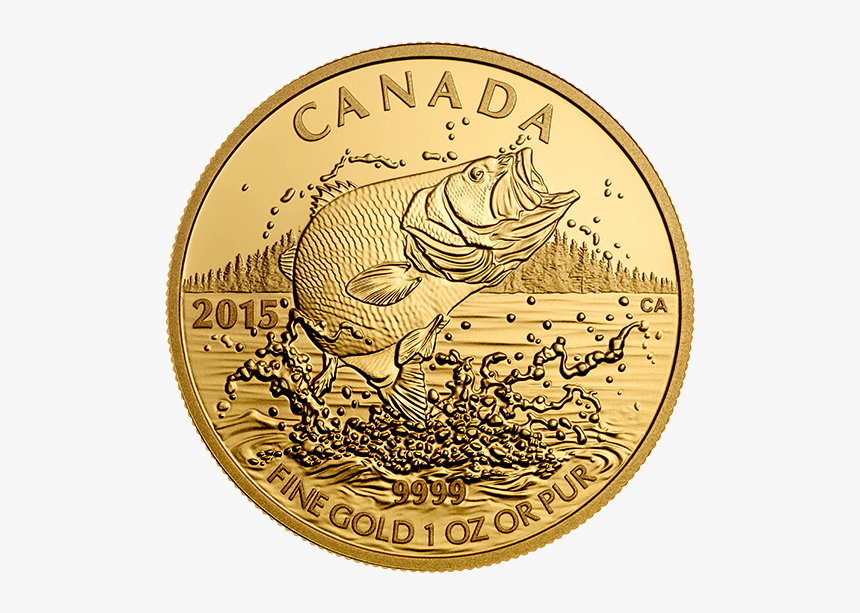 Coin Illustrator, HD Png Download , Transparent Png Image - PNGitem