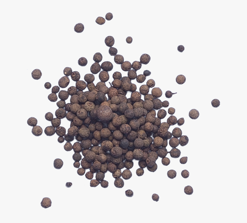 Transparent Spices Png - Pimento Allspice, Png Download , Transparent ...