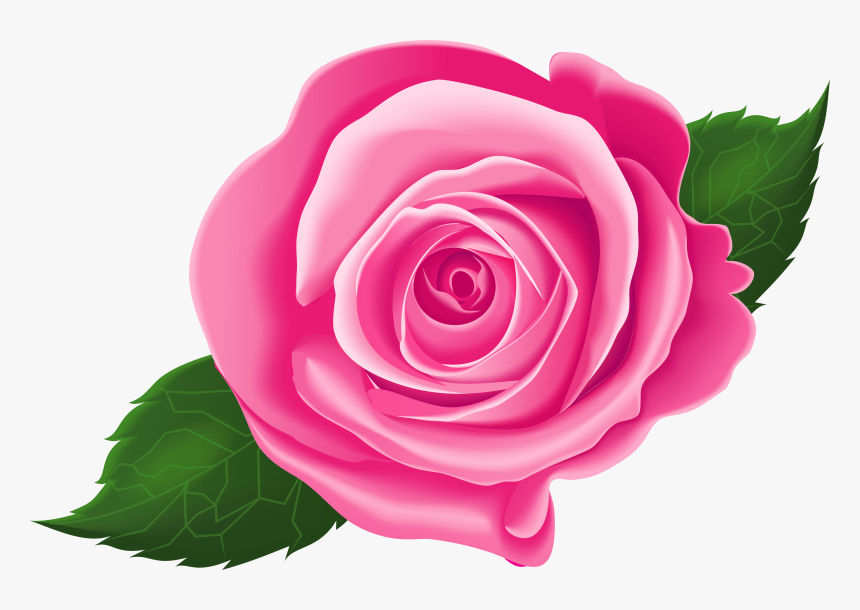 Transparent Rose Vines Png - Transparent Background Rose Clipart, Png ...