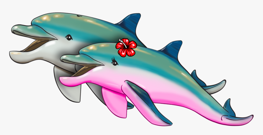 Donald & Daisy The Dolphins - Common Bottlenose Dolphin, HD Png ...