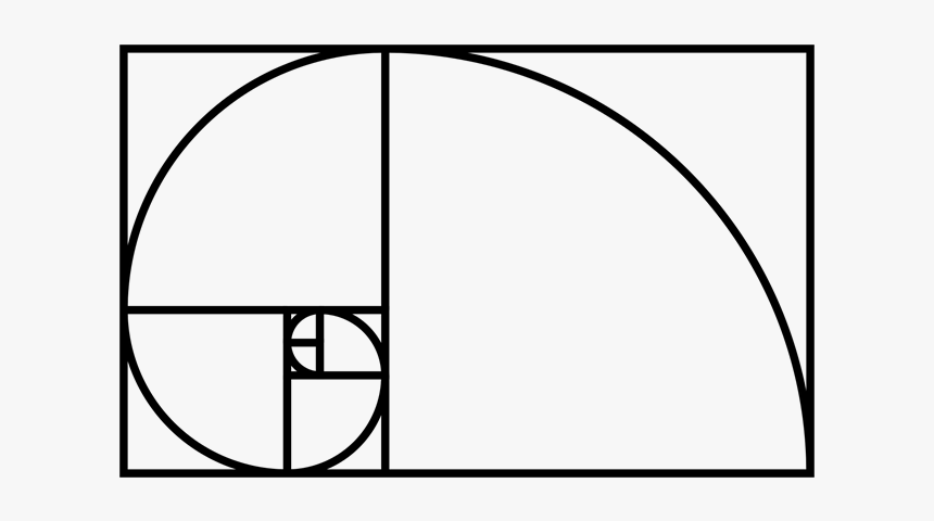 Fibonacci Sequence In Nature, HD Png Download , Transparent Png Image ...