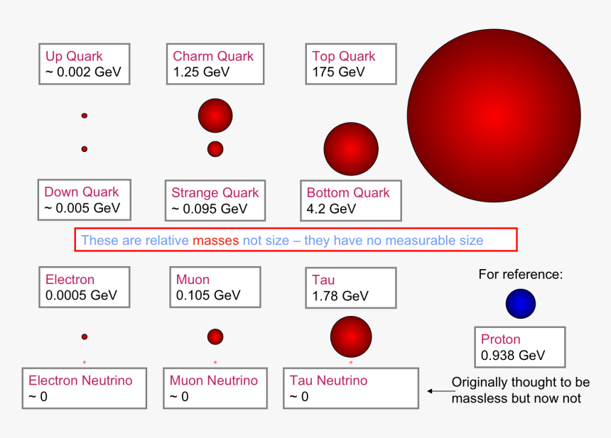 Fundamental Particles Size, HD Png Download , Transparent Png Image ...
