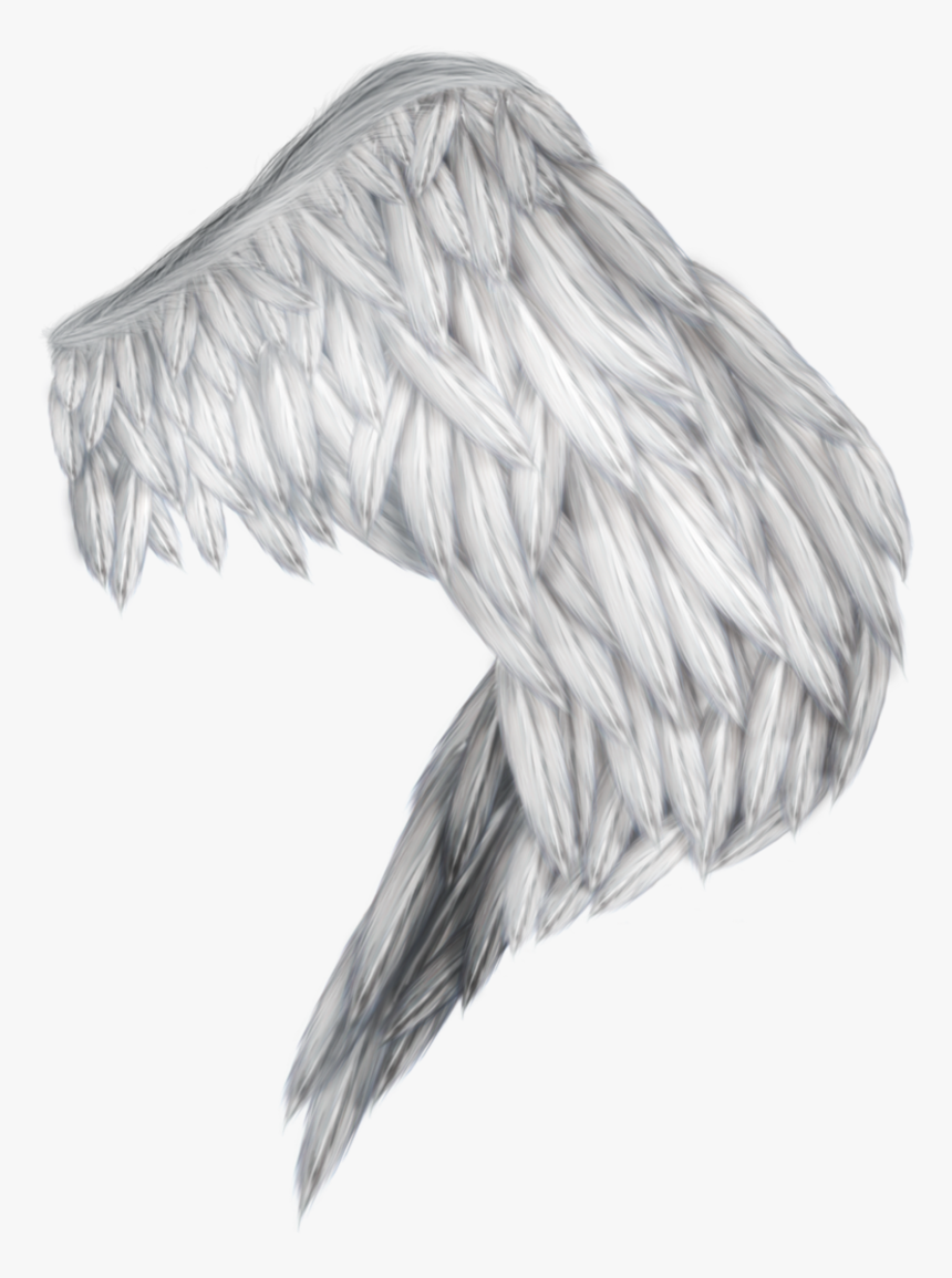 Ali A Png - Ali D Angelo Png, Transparent Png , Transparent Png Image ...