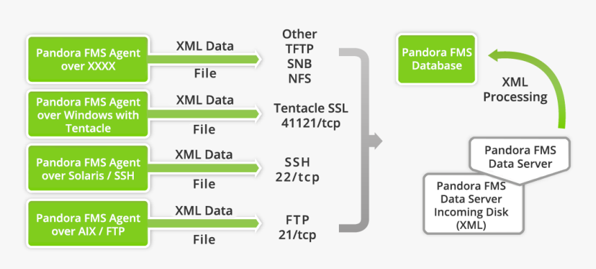 Pandora Fms Architecture, HD Png Download , Transparent Png Image - PNGitem
