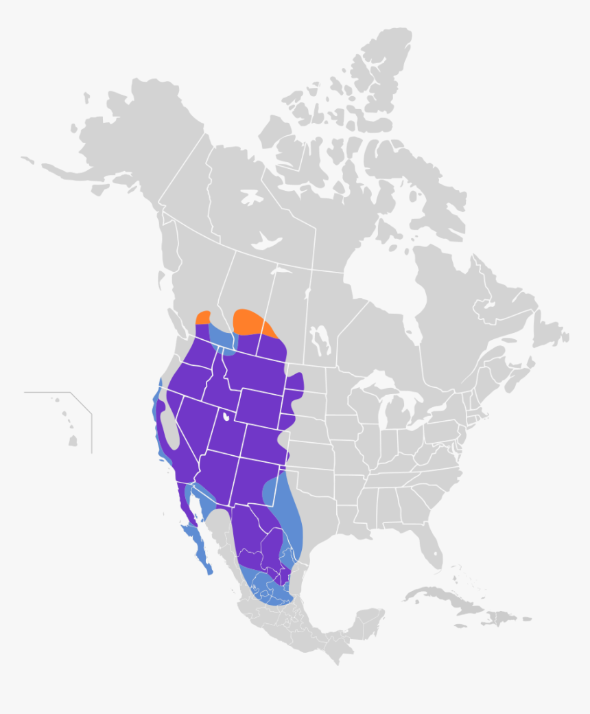 Edwards Plateau On Us Map, HD Png Download , Transparent Png Image ...