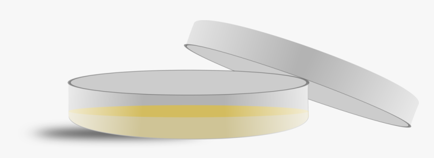 Petri Plates Clip Art, HD Png Download , Transparent Png Image - PNGitem