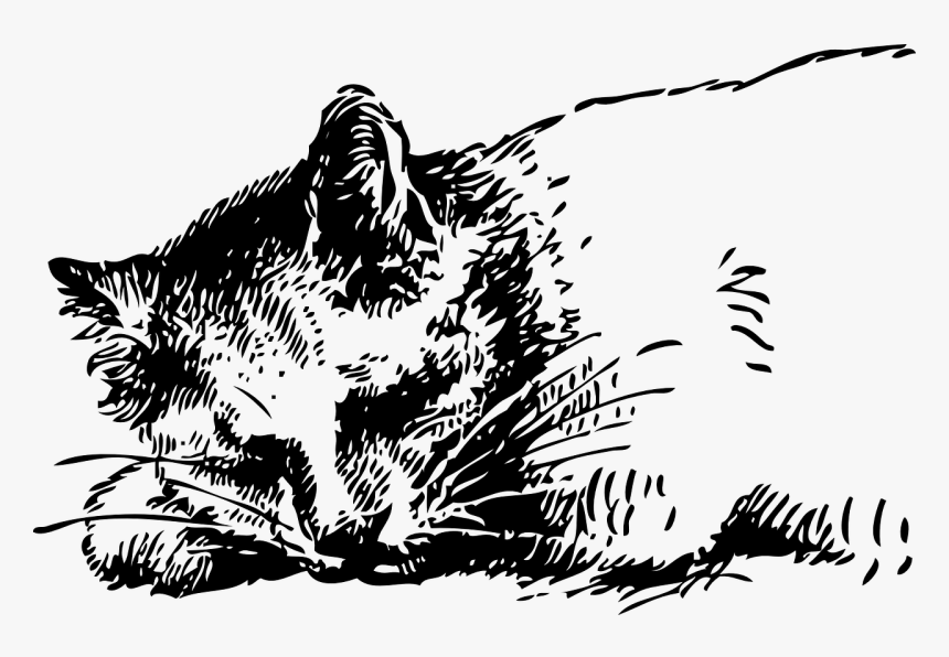 Flask Restful, HD Png Download , Transparent Png Image - PNGitem