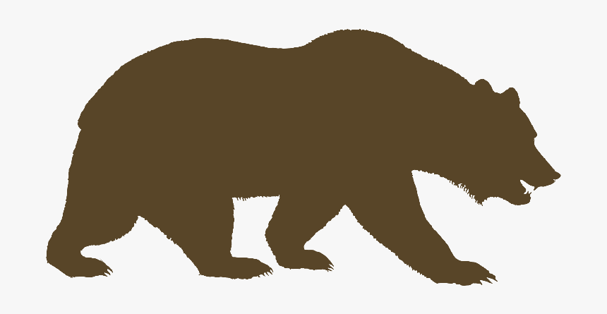 University Of California, Berkeley American Black Bear - California ...