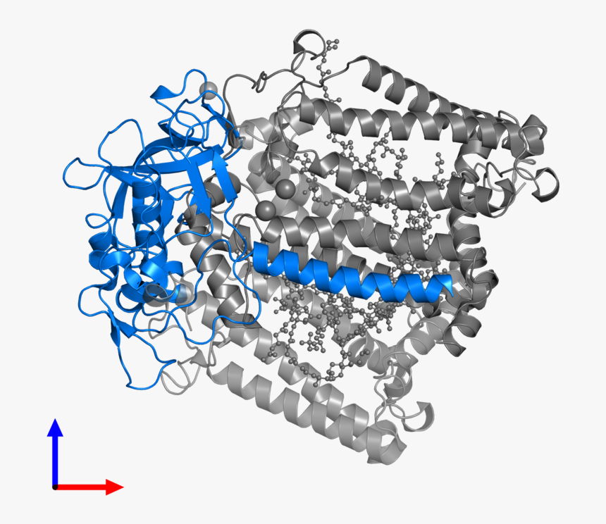 Illustration, HD Png Download , Transparent Png Image - PNGitem