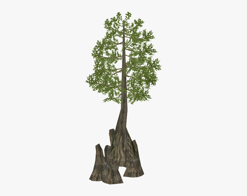 Cypress Tree Silhouette Clip Art
