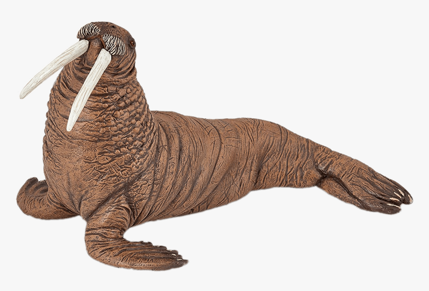 Walrus Figurine - Walrus Toy, HD Png Download , Transparent Png Image ...