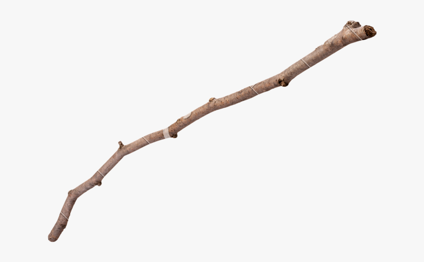 Marshmallow In A Stick, HD Png Download , Transparent Png Image - PNGitem
