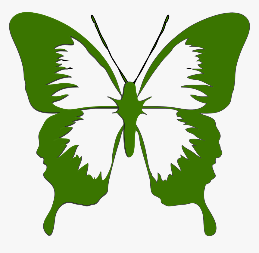 Green Butterfly Clip Art