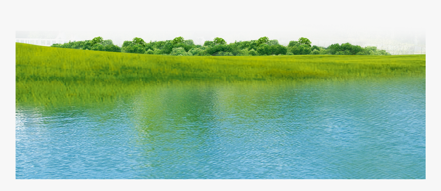Transparent Polluted River Clipart - Freshwater Marsh, HD Png Download ...