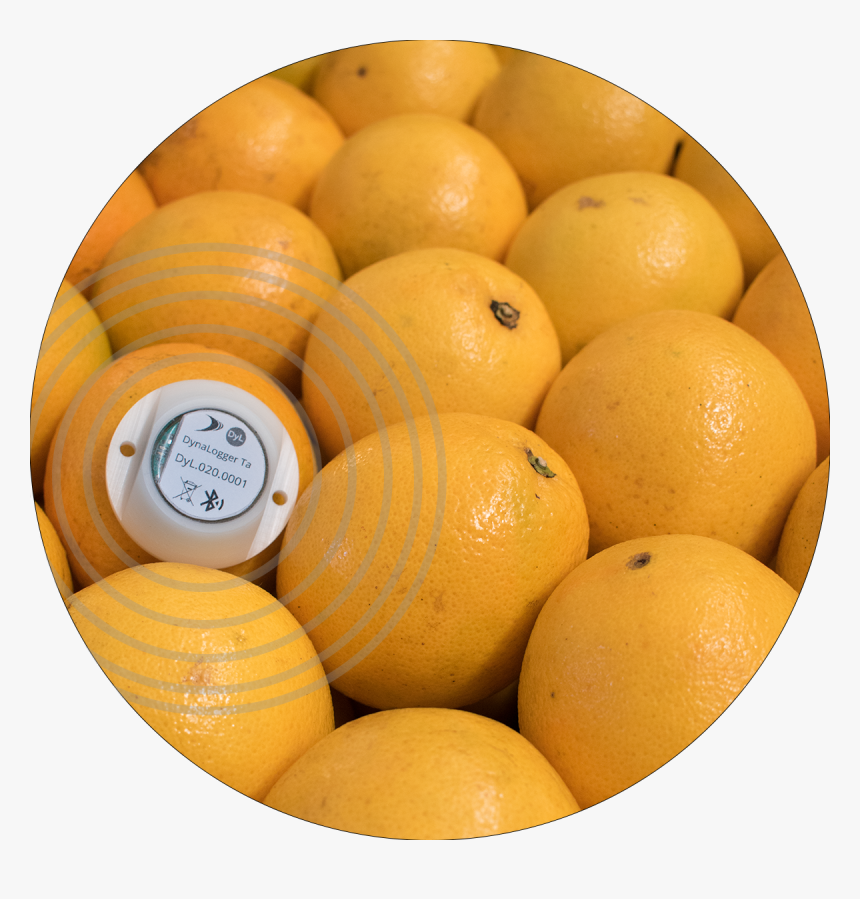 Novo Case Frutas - Grapefruit, HD Png Download , Transparent Png Image ...