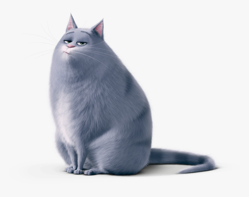Grey Cat Secret Life Of Pets, HD Png Download , Transparent Png Image ...