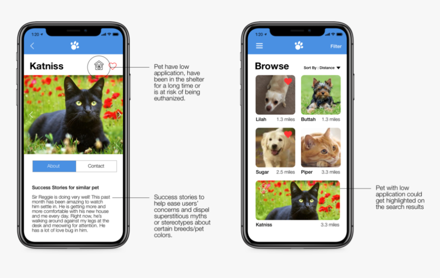 Less Popular Pets, HD Png Download , Transparent Png Image - PNGitem