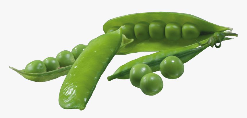 Pea Png, Transparent Png , Transparent Png Image - PNGitem