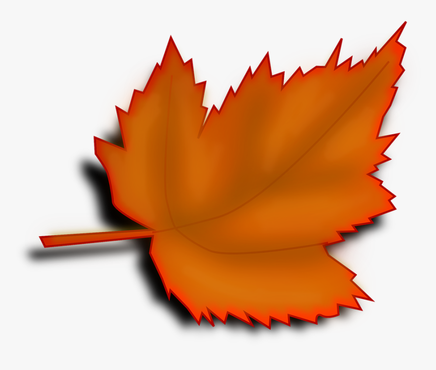 Tree Leaf Clipart, HD Png Download , Transparent Png Image - PNGitem