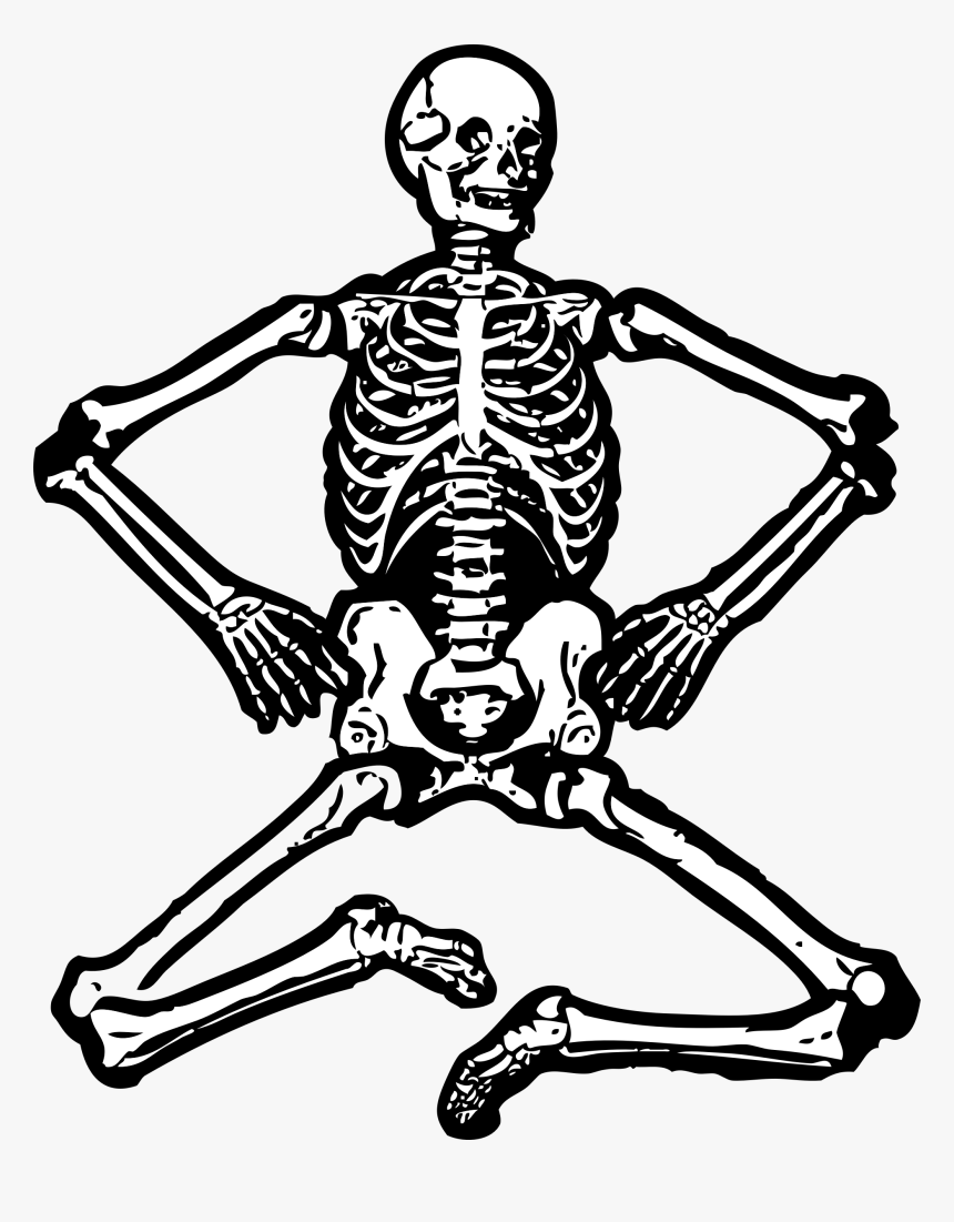 Skeleton Human Skeleton Bones Free Picture - Human Skeleton Clipart, HD ...
