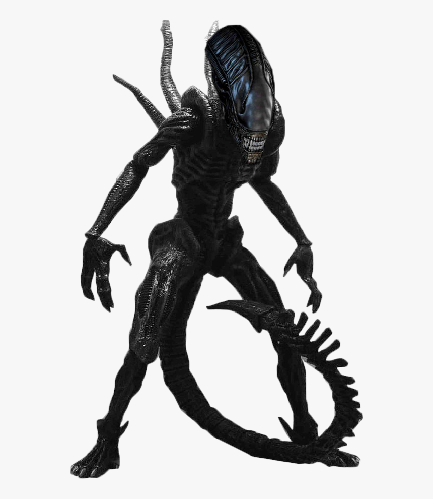 Character Stats And Profiles - Xenomorph White Background, HD Png ...