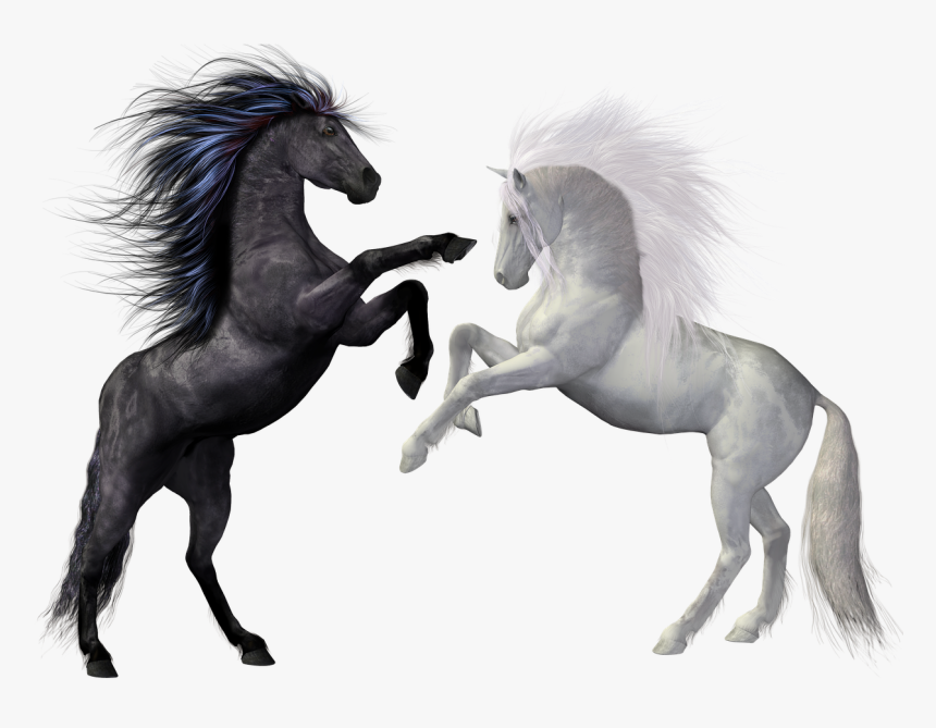 Transparent Imagenes De Png - Caballos Png, Png Download , Transparent ...