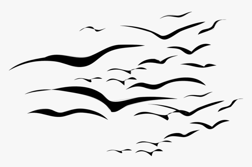 Sky, Birds, Flying, Flock, Fly - Cartoon Flock Of Birds, HD Png ...