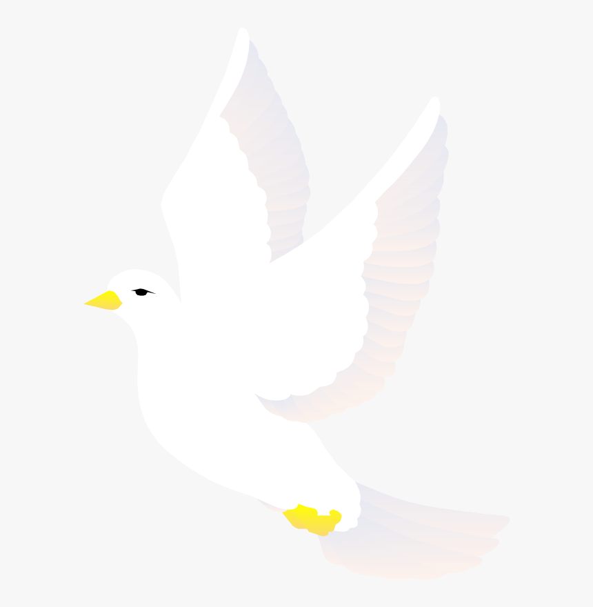 Free Vector Bird - White Bird Vector Png, Transparent Png , Transparent ...