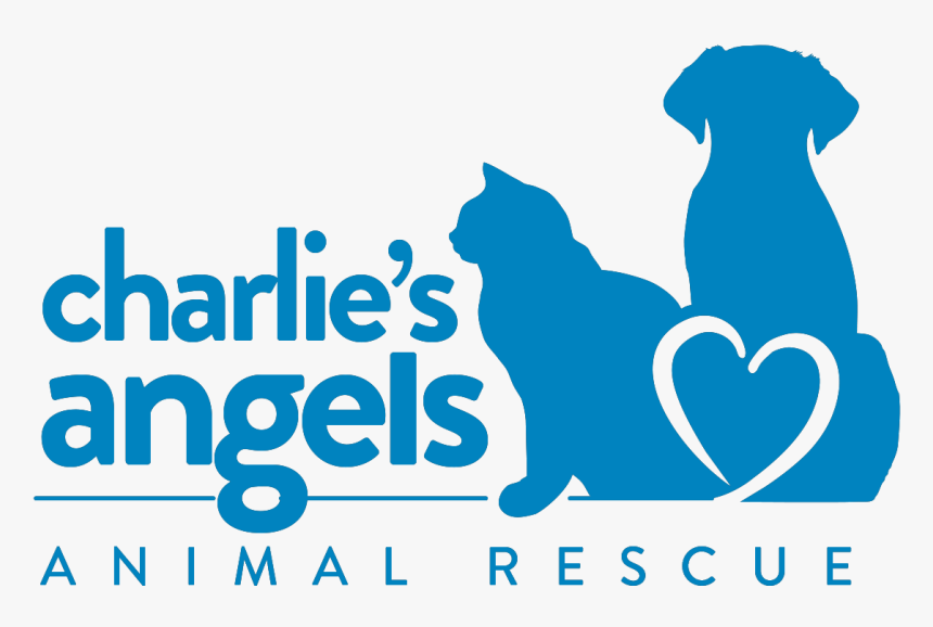Transparent Rescue Png - Angel Animal Rescue, Png Download ...
