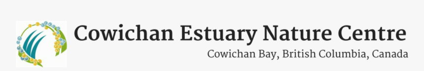 Website Header Png, Transparent Png , Transparent Png Image - PNGitem