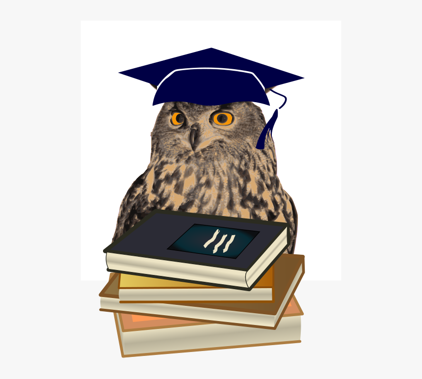Smart Owl Transparent, HD Png Download , Transparent Png Image - PNGitem