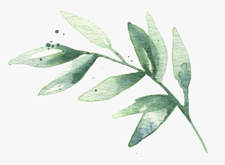 Hd Watercolor Leaves Free - Watercolor Green Leaves Png, Transparent ...