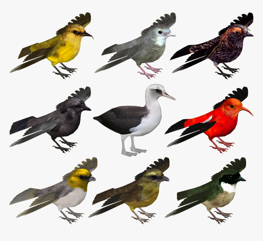 Bird Zoo Tycoon 2, HD Png Download , Transparent Png Image - PNGitem
