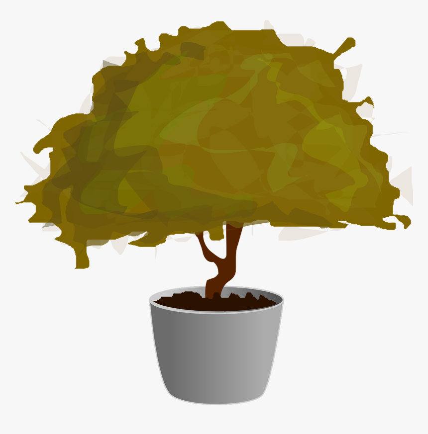 Tree In A Pot Clipart, HD Png Download , Transparent Png Image - PNGitem