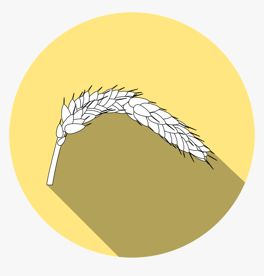 Wheat, Gluten, Allergy, Food, Allergen, Reaction, Sign - Celiac Disease ...