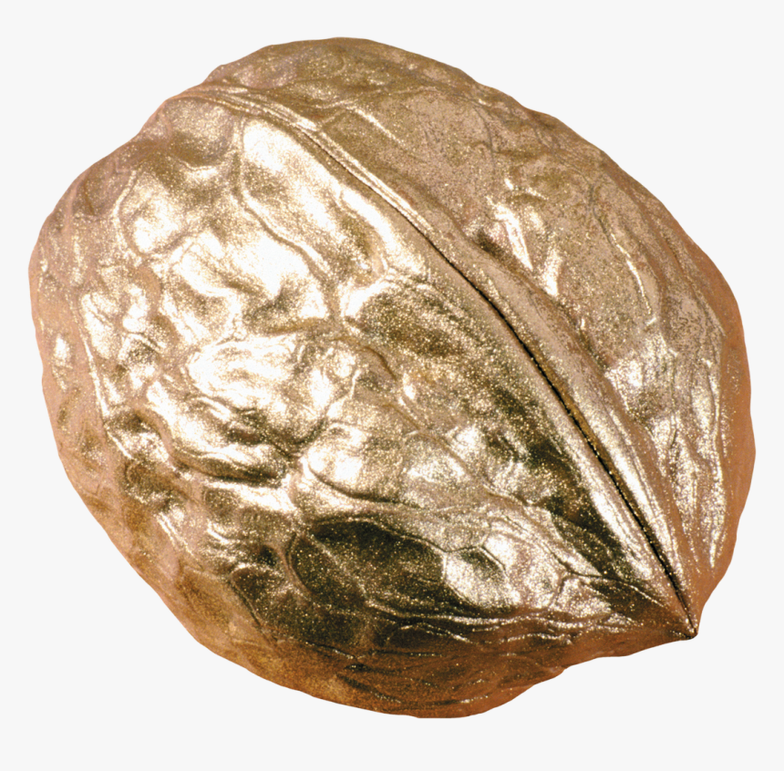 Walnut Png Image, Transparent Png , Transparent Png Image - PNGitem