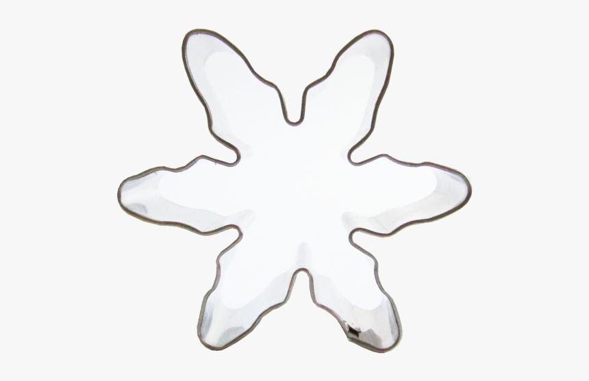 Marine Invertebrates, HD Png Download , Transparent Png Image - PNGitem