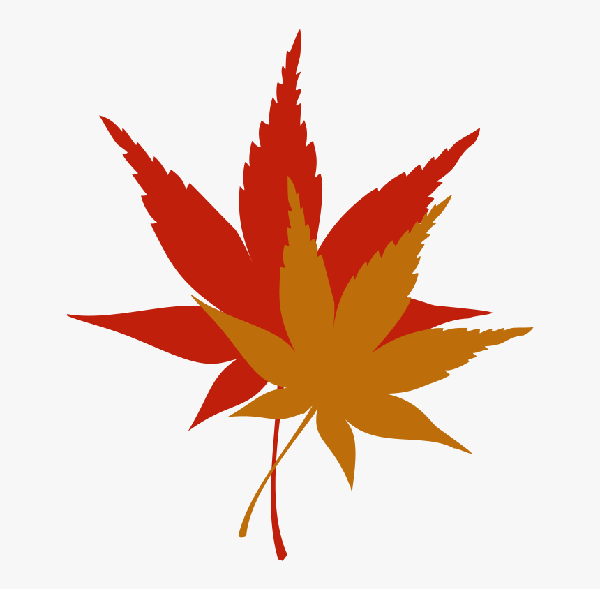 Transparent Japanese Maple Png - Japanese Maple Leaf Clipart, Png ...