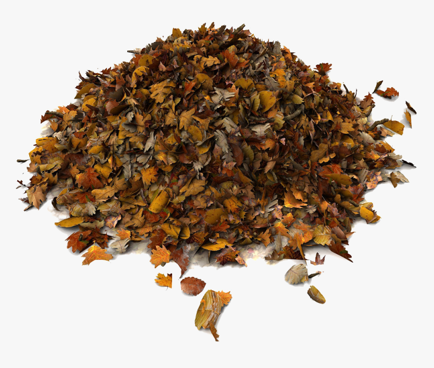Pile Of Leaves Png