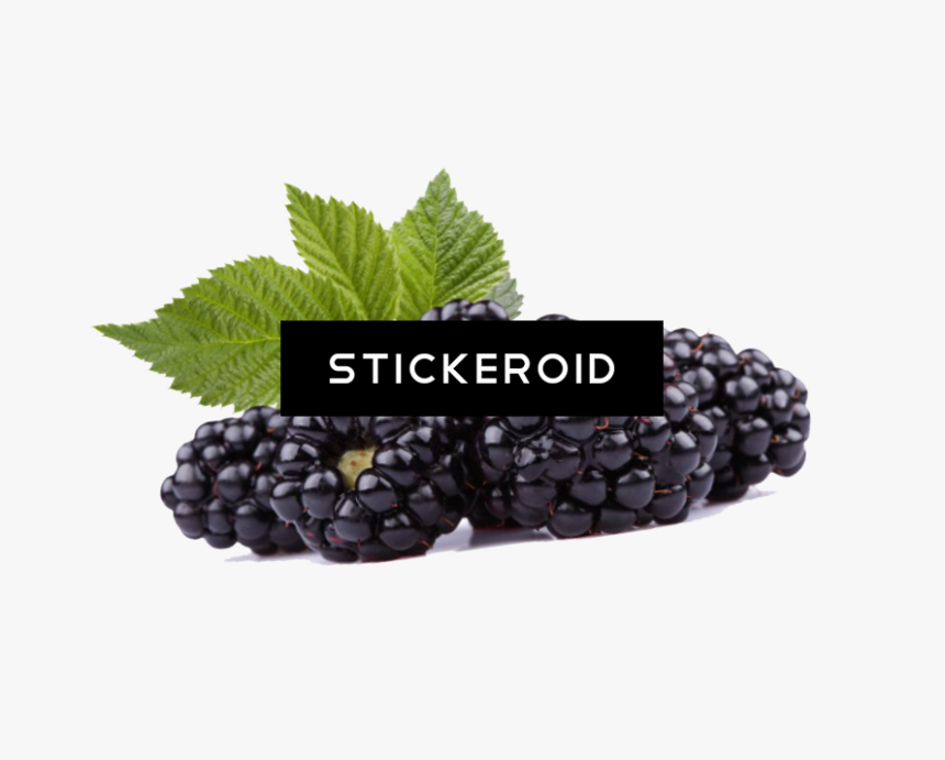 Black Raspberries Hd - Black Raspberry Transparent, HD Png Download ...