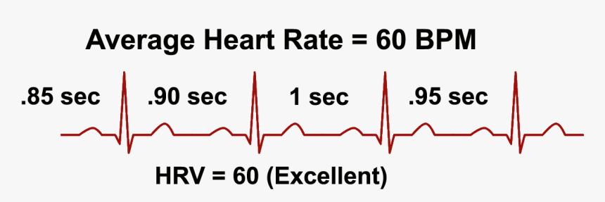 Heart Rate Variability And Bpm, HD Png Download , Transparent Png Image ...