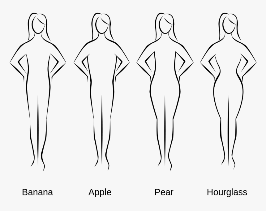 Transparent Human Body Clipart Black And White - Body Shapes, HD Png ...