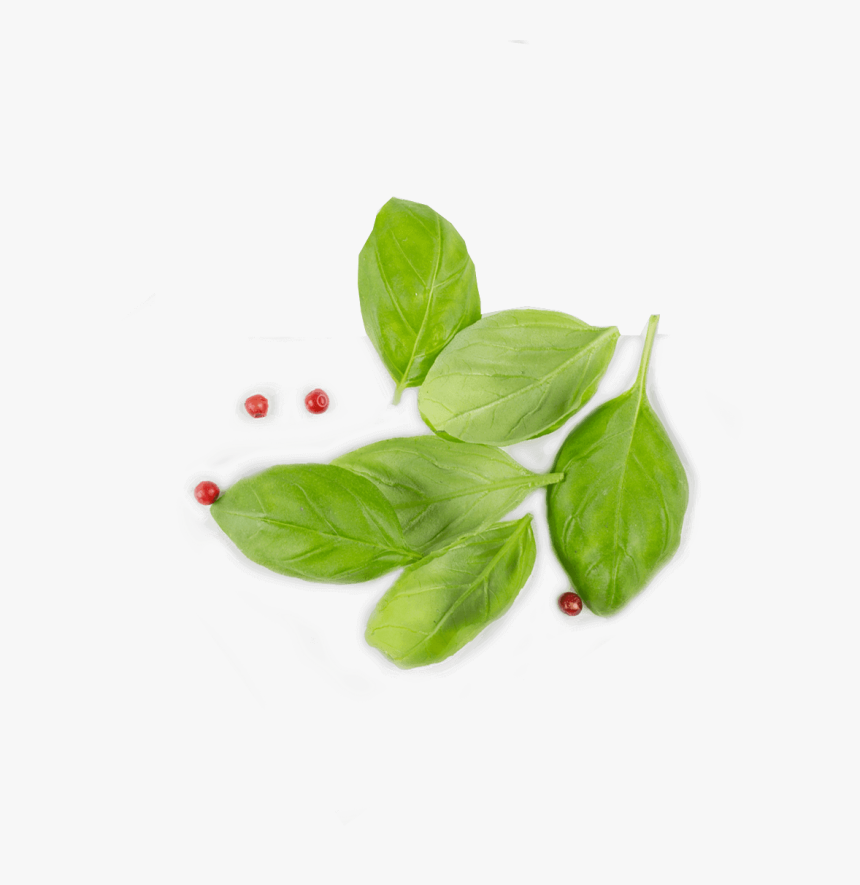 Basil From Top Png - Leaf Top View Png, Transparent Png , Transparent ...