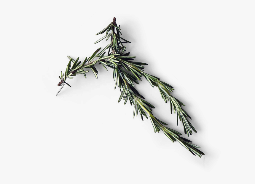 Kitchen , Png Download - Floor, Transparent Png , Transparent Png Image ...