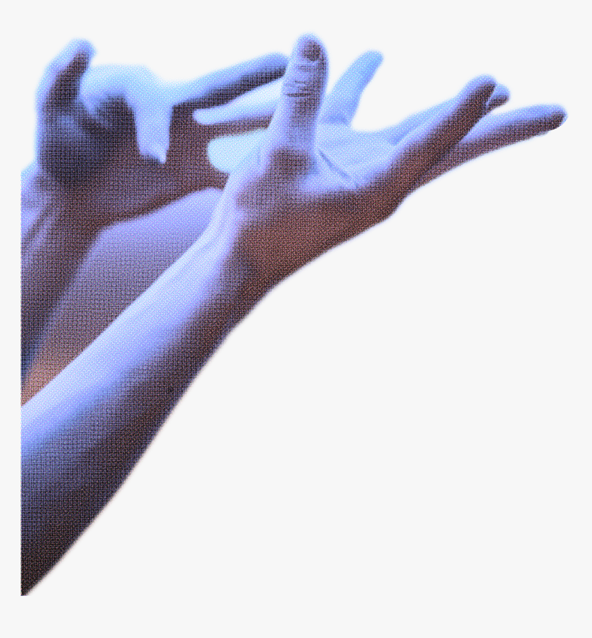 Marine Invertebrates, HD Png Download , Transparent Png Image - PNGitem