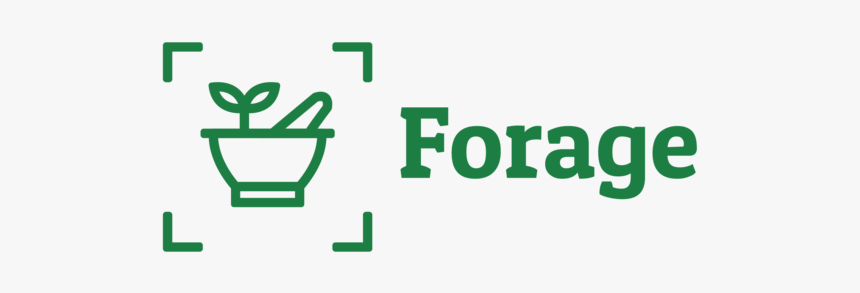 Foragelogo -11 - Graphics, HD Png Download , Transparent Png Image ...