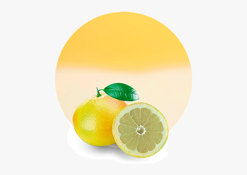 Rangpur, HD Png Download , Transparent Png Image - PNGitem