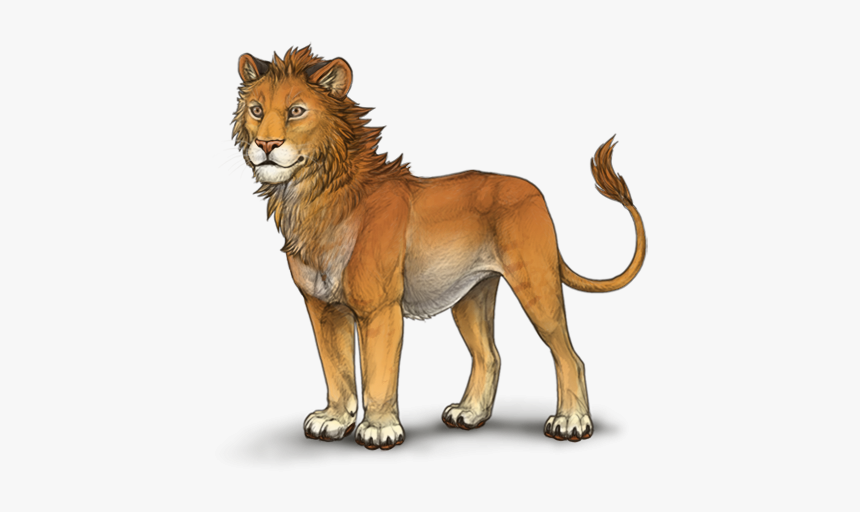Different Colors Of Lion, HD Png Download , Transparent Png Image - PNGitem